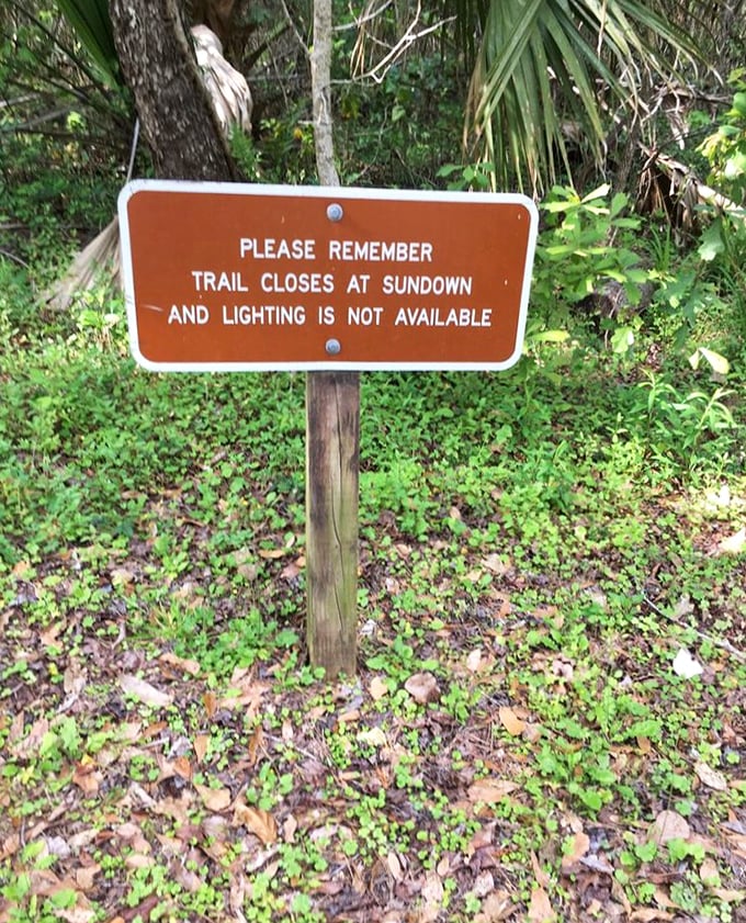 A gentle reminder that Mother Nature keeps banker's hours. No night hiking here – the wildlife prefers its privacy after dark.