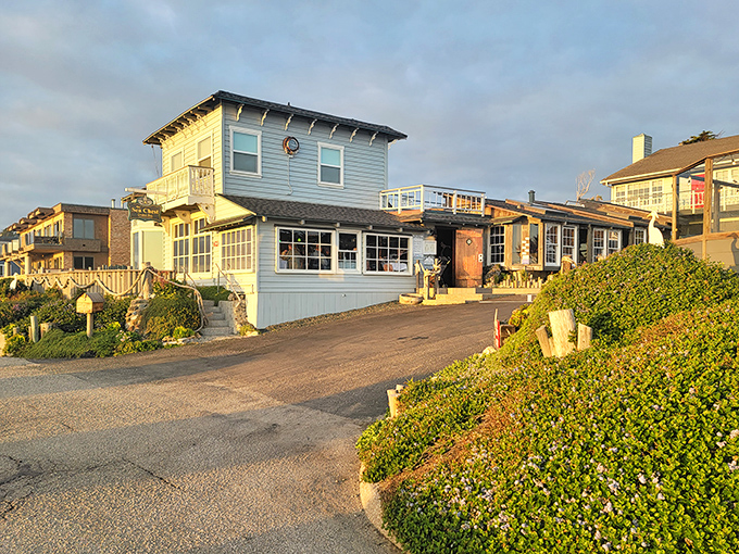 The Sea Chest Oyster Bar—where seafood is so fresh it practically introduces itself before landing on your plate.