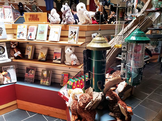 Hawk Mountain's version of souvenir therapy. Take home a plush raptor—it's cheaper than moving to the mountain permanently.