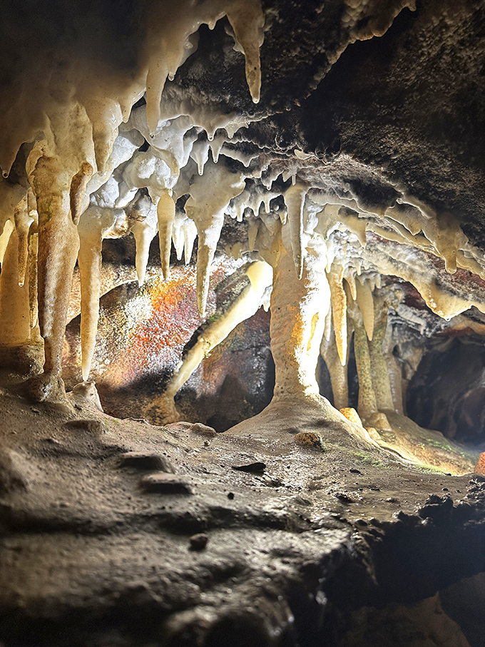 Nature's chandeliers hang in delicate, calcite-formed splendor. These formations grow just one cubic inch every 150 years—talk about patience!