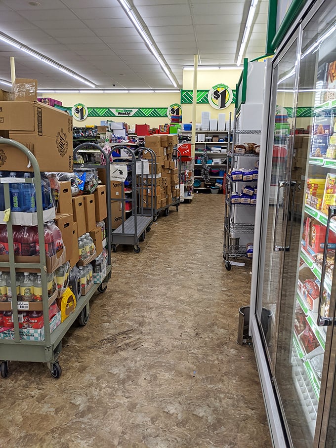Behind-the-scenes glimpse of Dollar Tree's constantly evolving inventory—tomorrow's treasures waiting to hit the shelves.