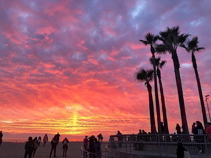 Venice sunsets perform a daily light show that makes even the most jaded Angelenos stop scrolling and start snapping.