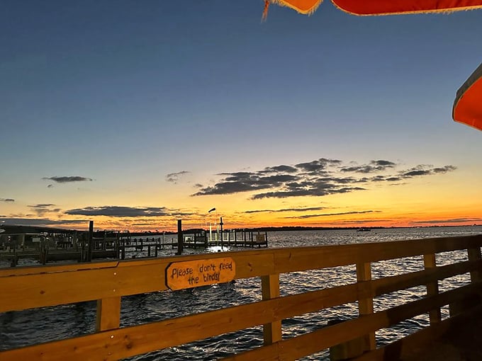 "Please don't feed the birds" – sage advice overlooking a sunset that turns Destin Harbor into liquid gold at day's end.
