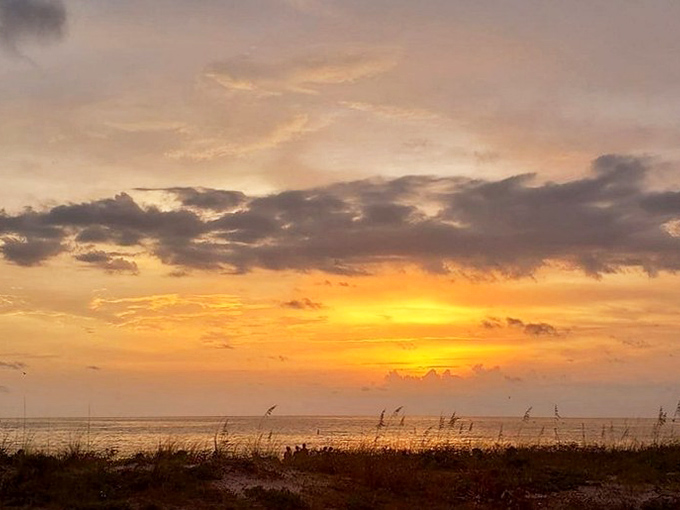 Mother Nature's nightly masterpiece. Pass-a-Grille sunsets turn the Gulf into liquid gold—no filter needed, though everyone still uses one.