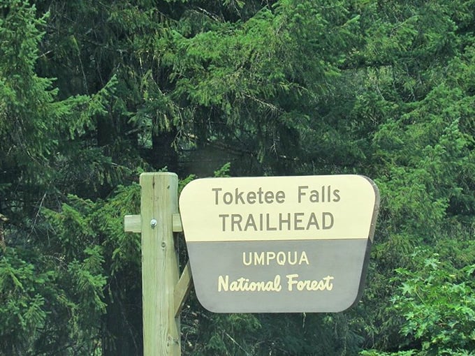 The official welcome sign—where countless hiking stories begin and "I should have brought better shoes" thoughts first emerge.