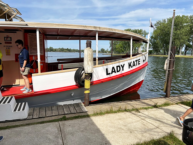 Sightseeing cruises provide water-level views that showcase the park's stunning natural architecture.