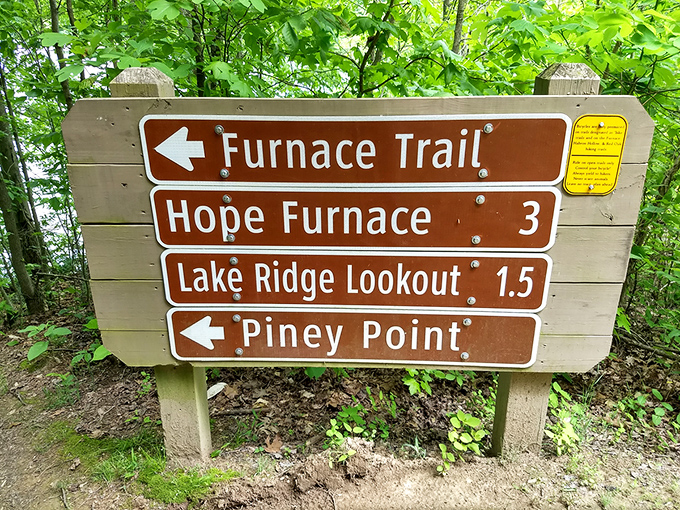 Trail signage that promises adventure in every direction—like a choose-your-own-outdoor-novel where every ending involves spectacular views.