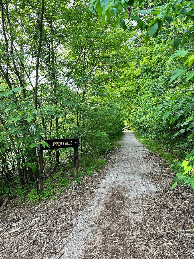 Follow the path less traveled – this trail promises adventure and the soothing soundtrack of rushing water ahead.