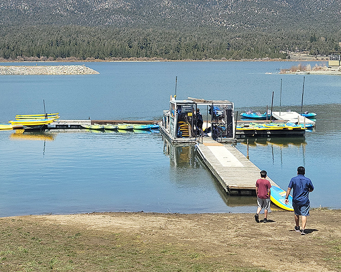 Summer's playground awaits as colorful kayaks and paddleboards stand ready for water adventures—no experience required, just a willingness to get wet.