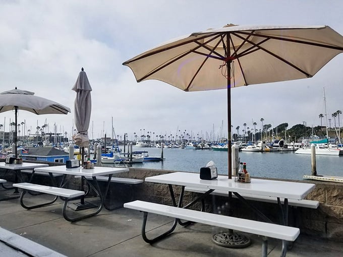 Harbor views that pair perfectly with anything on the menu. Nature's dining room extension where boats bob in agreement with your food choices.