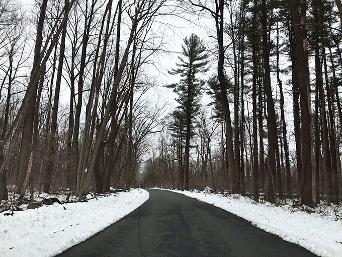 Winter's pristine canvas transforms Nockamixon's roads into something straight out of a holiday card – minus the reindeer and plus excellent plowing.