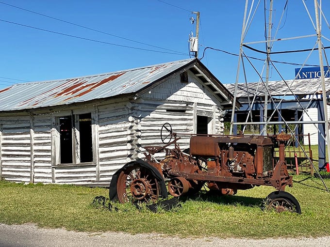 This rusted tractor isn't just yard art – it's agricultural poetry telling stories of Florida farmland long before Mickey Mouse arrived.