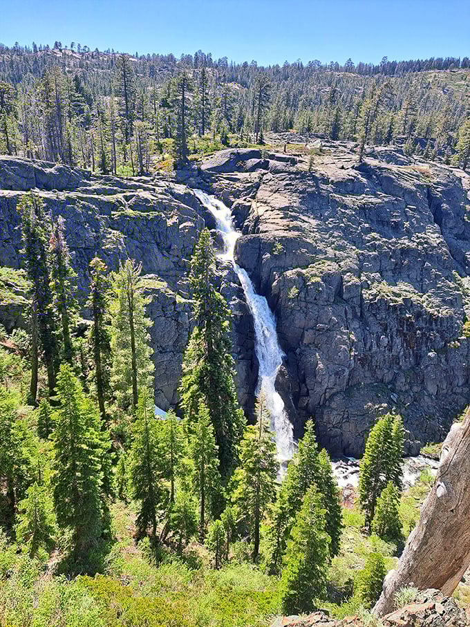 Gravity's artwork on full display. This cascading waterfall has been carving its masterpiece through ancient stone for millennia.