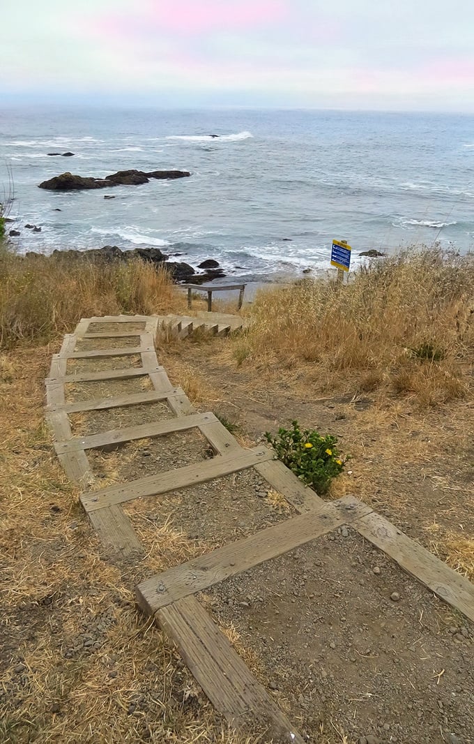 The humble wooden staircase—gateway to adventure and protector of fragile coastal ecosystems. Simple engineering, profound purpose.