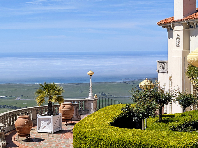 The view from Hearst Castle's terraces reminds you why they call it the Enchanted Hill—the Pacific stretches out like nature's infinity pool.