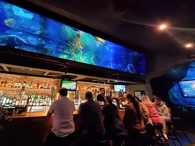 Patrons line the bar, mesmerized by what's happening overhead – it's the only place where looking up at the ceiling isn't boring.