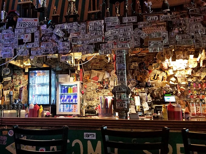 The bar counter tells stories without speaking—every dollar bill and license plate a testament to good times had and arteries challenged.