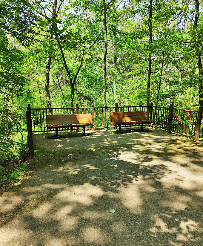 Contemplation station: Two benches offering front-row seats to nature's greatest show. Better than any theater, and the ceiling never blocks your view!