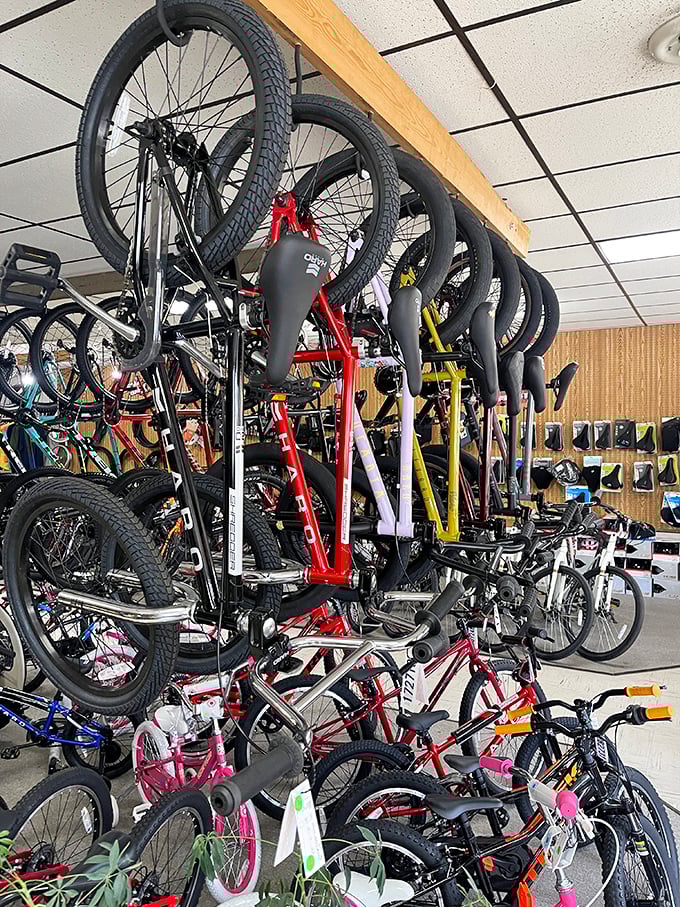 Bikes Unlimited turns the Great Allegheny Passage into your personal adventure vehicle showroom. These two-wheeled freedom machines await your pedal power to explore miles of scenic trail.
