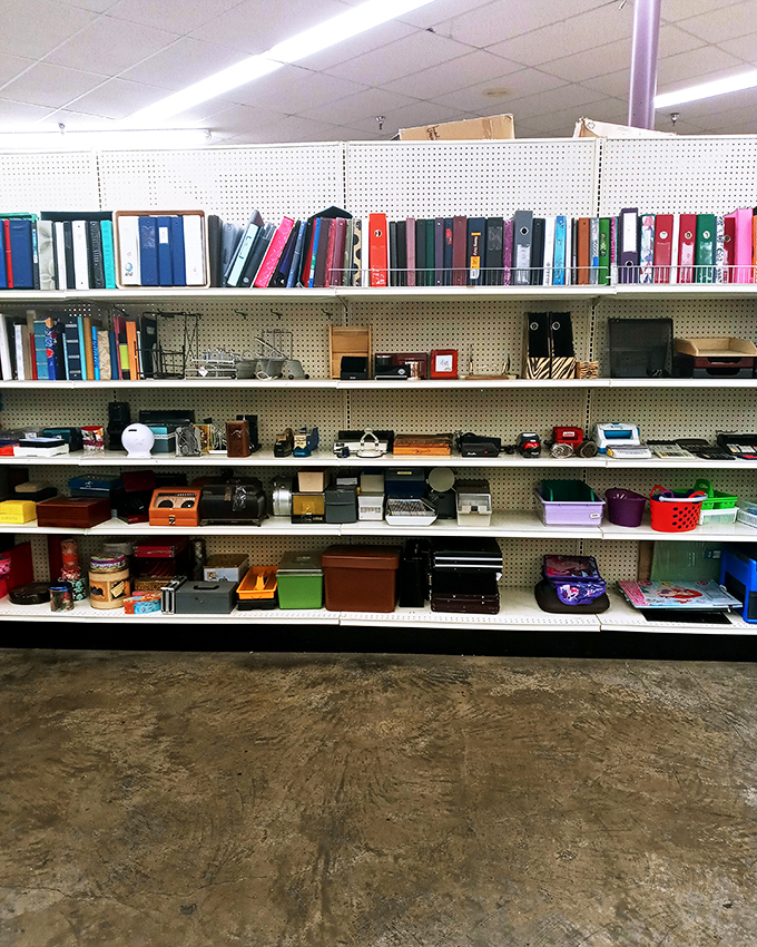 Office supplies, photo albums, and vintage electronics coexist in beautiful chaos. Someone's organizational system is another's creative inspiration.