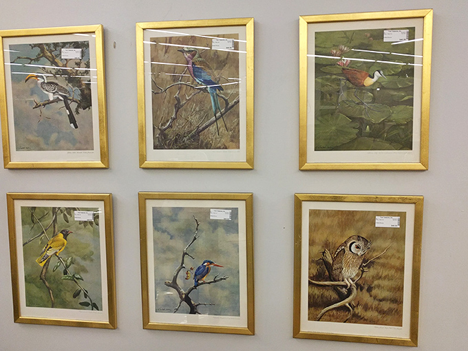 A gallery wall of feathered Florida natives that brings the Everglades indoors without the mosquitoes or humidity. Audubon would be proud.