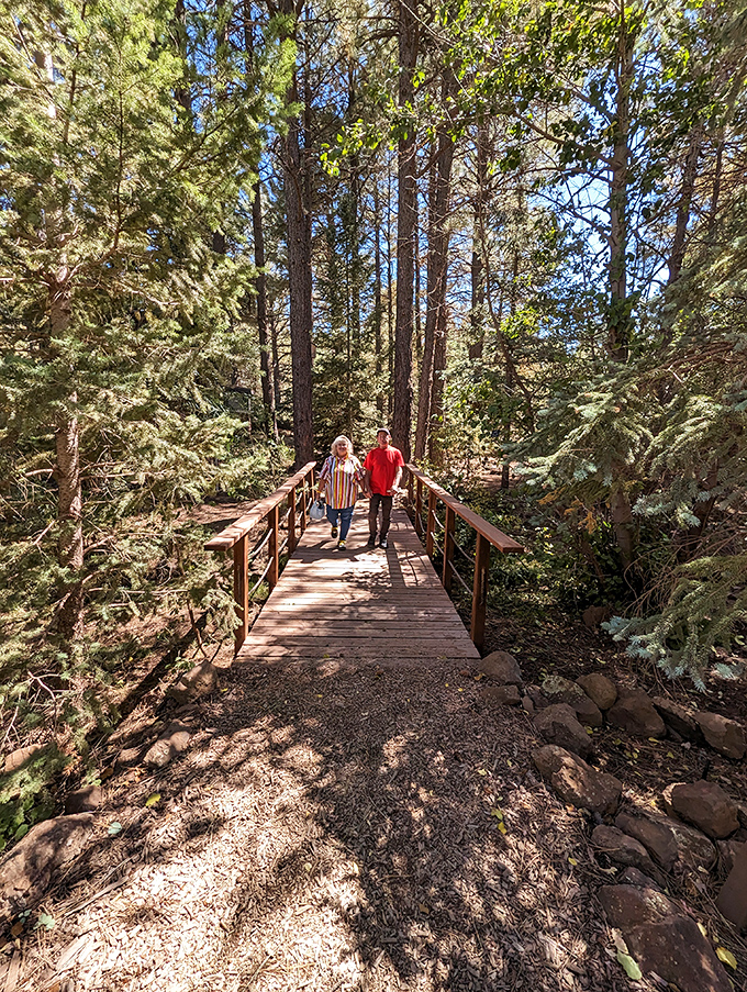 This wooden boardwalk leads through forest sections where every step feels like entering a real-life fairy tale. 
