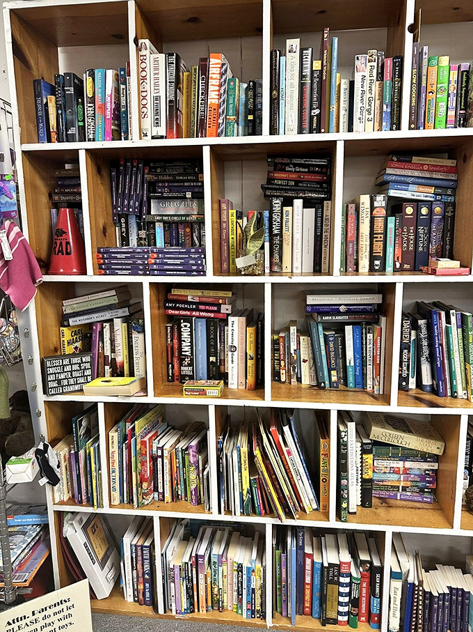 A library of possibilities where dog-eared pages tell stories beyond the printed words—each book a previous owner's literary journey.