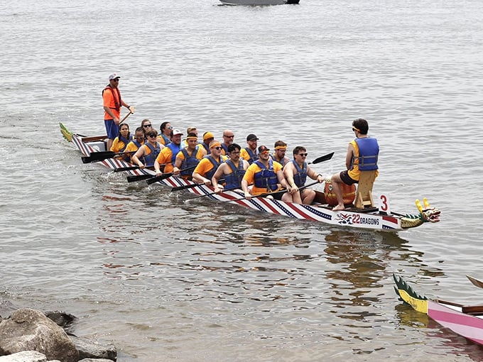 Dragon boat racing brings a splash of excitement to the bay – where teamwork, tradition, and the occasional unplanned swim create unforgettable memories.