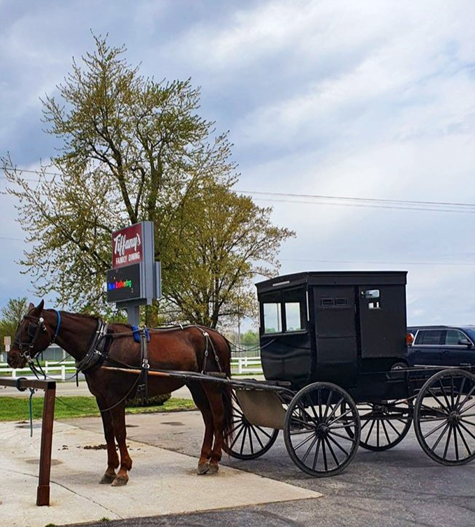 Even the horses know where to find the best food in town—Amish buggies regularly make pit stops at this local culinary landmark.