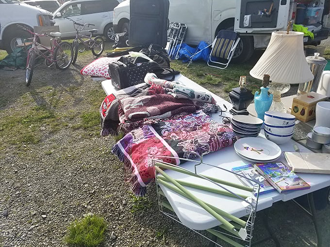 One person's "decluttering project" becomes another's eclectic home refresh. From lamps to linens, these household items await their second chance.