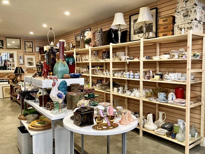 Porcelain treasures and home accessories arranged with the care of a curator but priced like it's your lucky day.