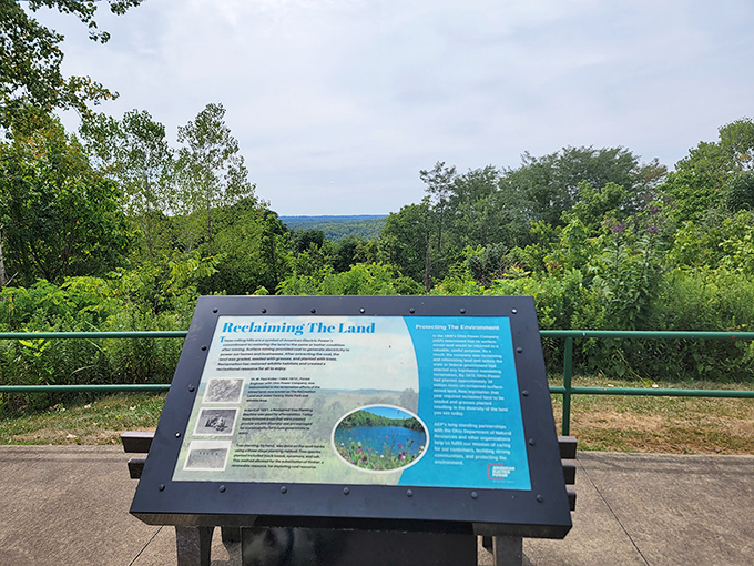 "Reclaiming The Land" isn't just a sign—it's the story of transformation. What was once stripped bare now flourishes with renewed life.