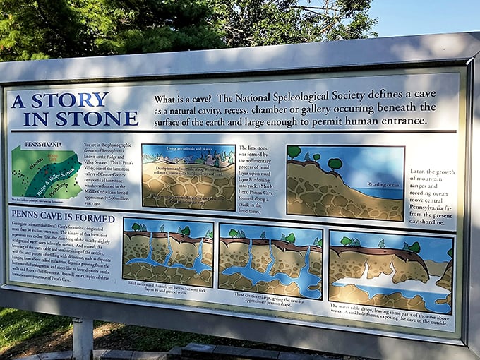 Science meets storytelling on this informational display. Geology has never looked so interesting—or made you feel quite so young by comparison.