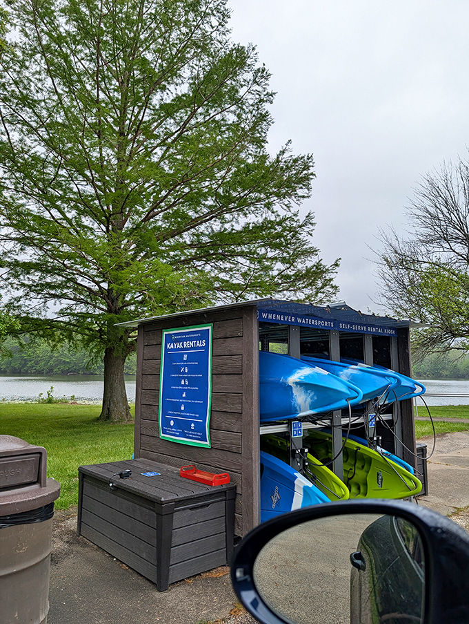 Water recreation made simple with self-serve kayak rentals. These colorful vessels are your tickets to explore hidden coves no hiking trail can reach.