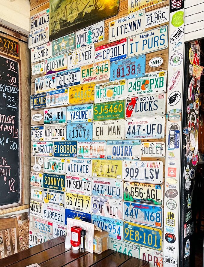 The license plate wall isn't just decoration—it's a road trip history lesson showing how far people will travel for a proper Hogfish sandwich.