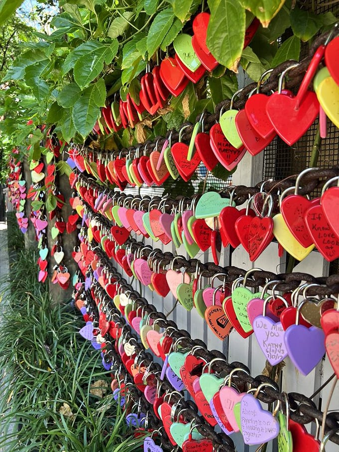 Love is in the air – and on the fence! Visitors leave colorful locks as testament to their affection for each other and this special slice of Florida.