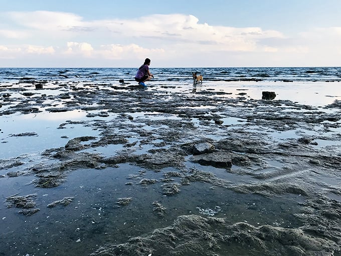 Low tide reveals Lake Erie's secrets – a temporary landscape of puddles and stones where explorers of all ages discover tiny universes.