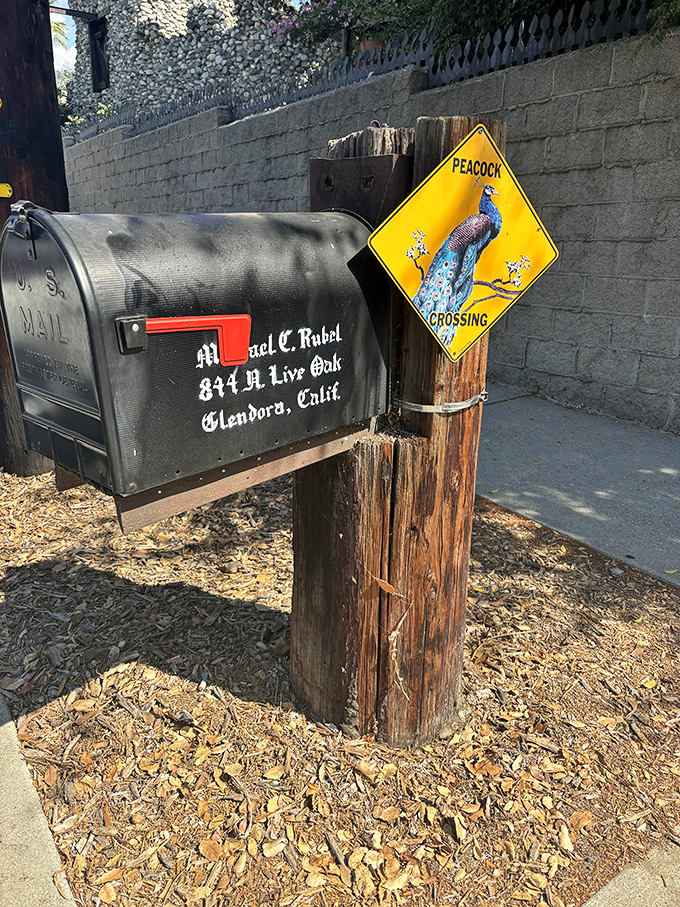 Neither snow nor rain nor conventional architecture shall stay these couriers. Even the mailbox at Rubel Castle refuses to be ordinary.
