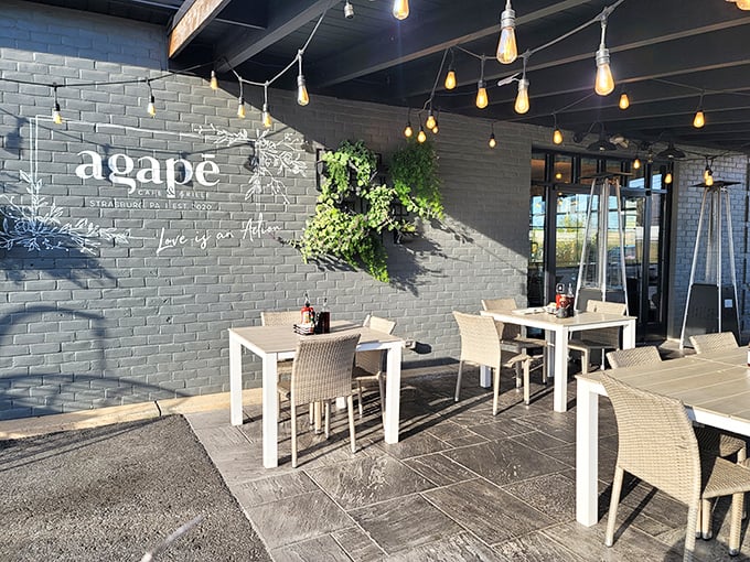 The outdoor patio where string lights and gray brick create the perfect backdrop for al fresco dining. Even the plants look happy to be here.
