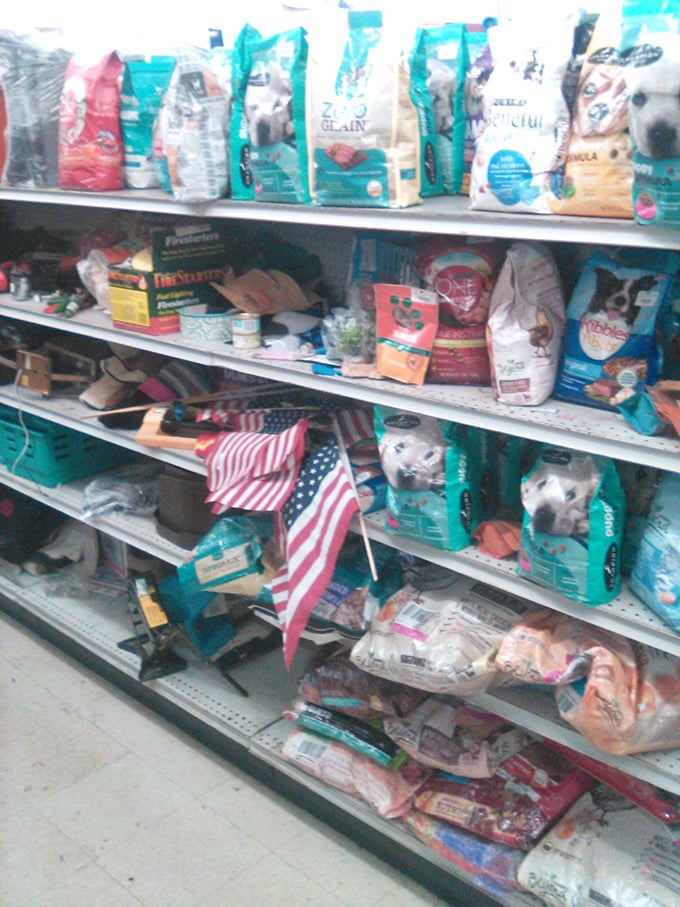 Pet supplies galore, with an American flag for patriotic pups. Your four-legged friend deserves pre-loved toys and treats at these prices.