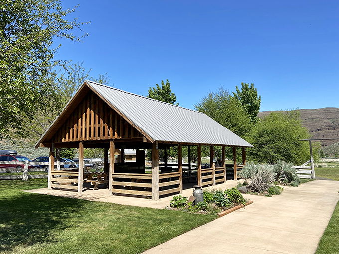 The perfect picnic pavilion – where lunch comes with a side of panoramic views that make fast food seem like a crime.
