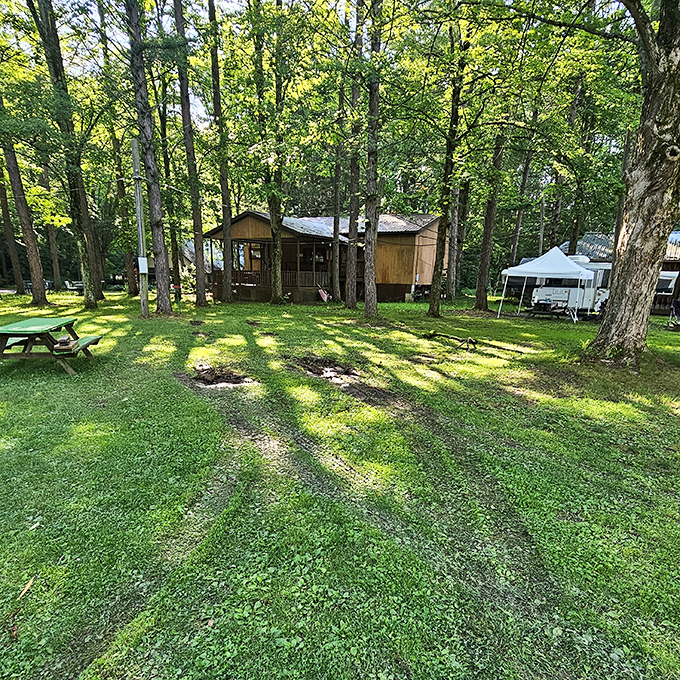 Peaceful picnic areas provide the perfect spot to discuss your cave adventure over sandwiches and shared excitement.