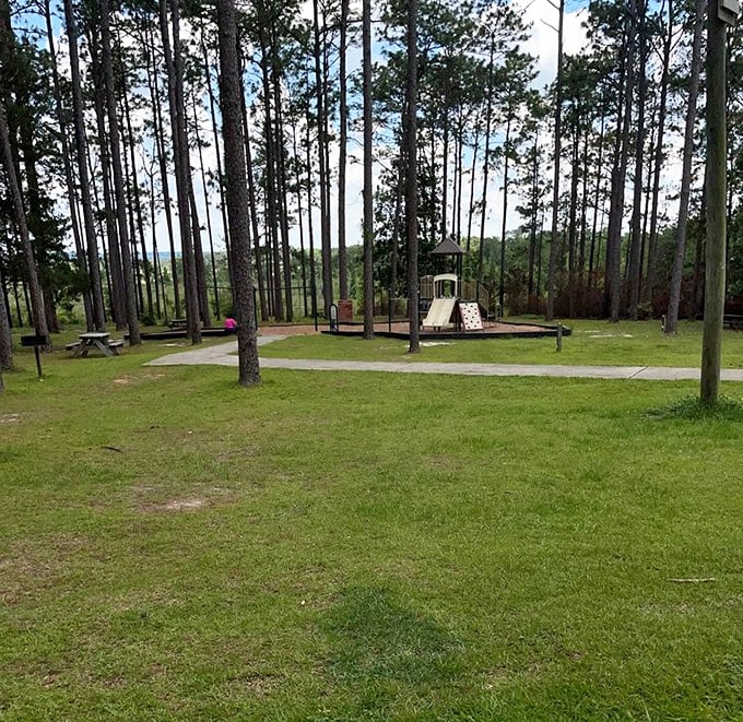 Even paradise needs a playground. Kids can swing and climb while parents appreciate the rarest of Florida treasures—actual elevation changes.