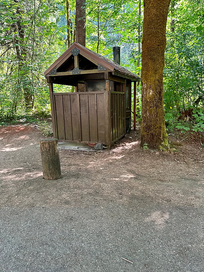 Even the restroom facilities embrace rustic charm. When nature calls while you're admiring nature, at least the accommodations match the aesthetic.