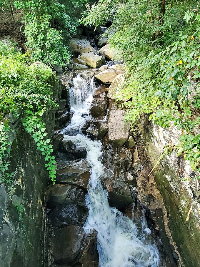 Water finding its path of least resistance – a life philosophy worth adopting, especially when navigating holiday dinner conversations.