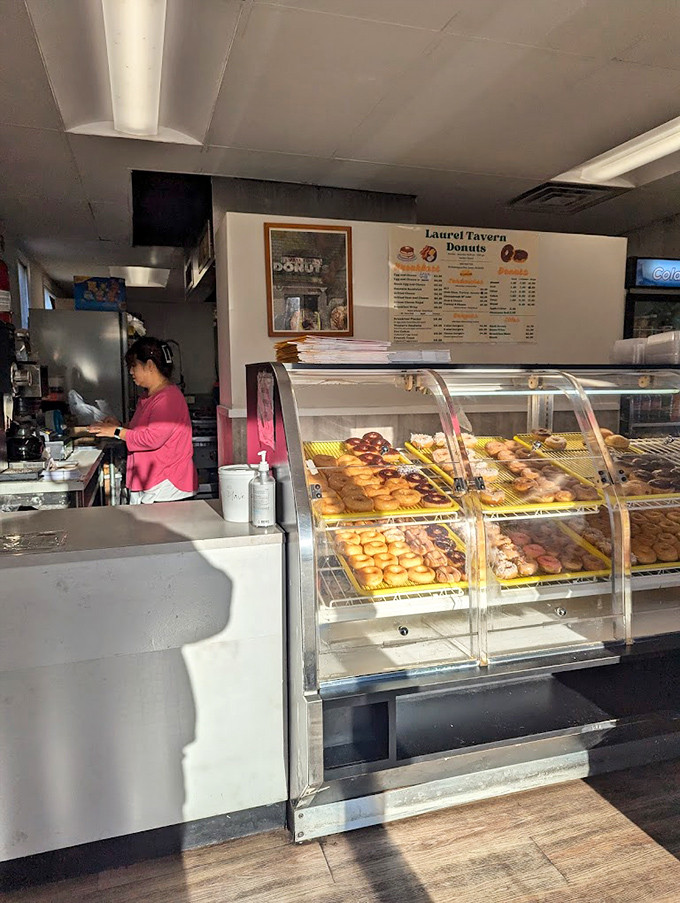 Behind the curved glass, trays of freshly made donuts await their destiny—to disappear into paper bags and create moments of unexpected joy.