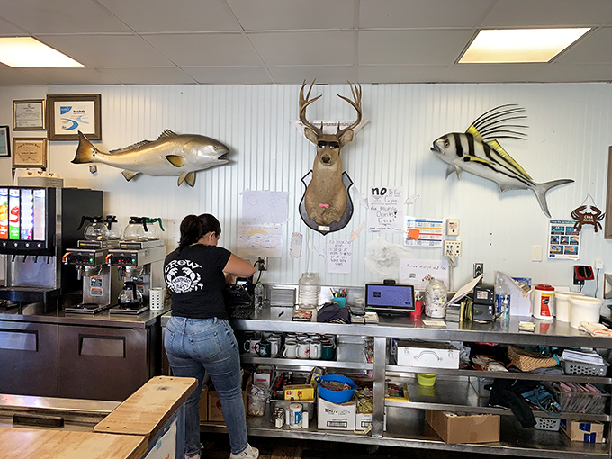 Behind every great seafood joint is a staff who knows the difference between fresh-caught and "fresh-caught." The mounted fish silently approve.