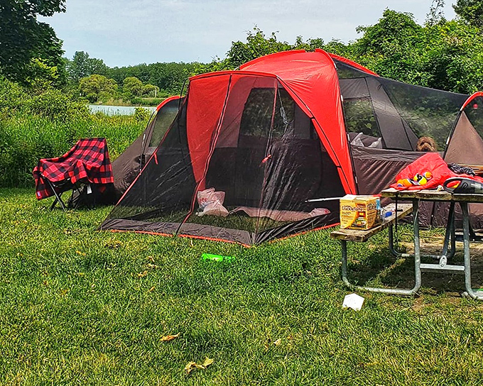 Camping setup that says, "Yes, we brought everything including the kitchen sink." Buffalo plaid chair included for authentic outdoorsy cred. 