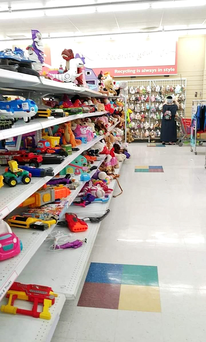 The toy section—where childhood memories are recycled, plastic dinosaurs find new adventures, and parents save small fortunes.
