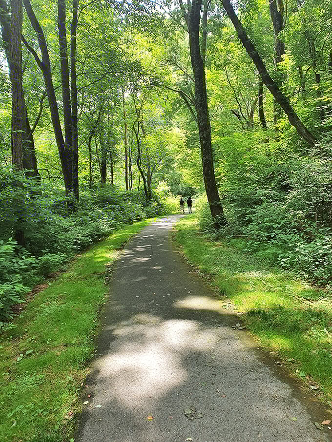 The trail beckons with a green tunnel effect that feels like walking through a living cathedral, where sunlight plays stained glass through the leaves.